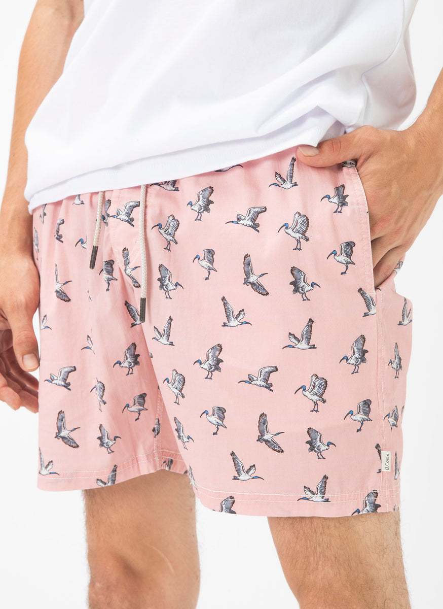 Amphibious 17" Swim Short Pink Bin Chicken – Barney Cools